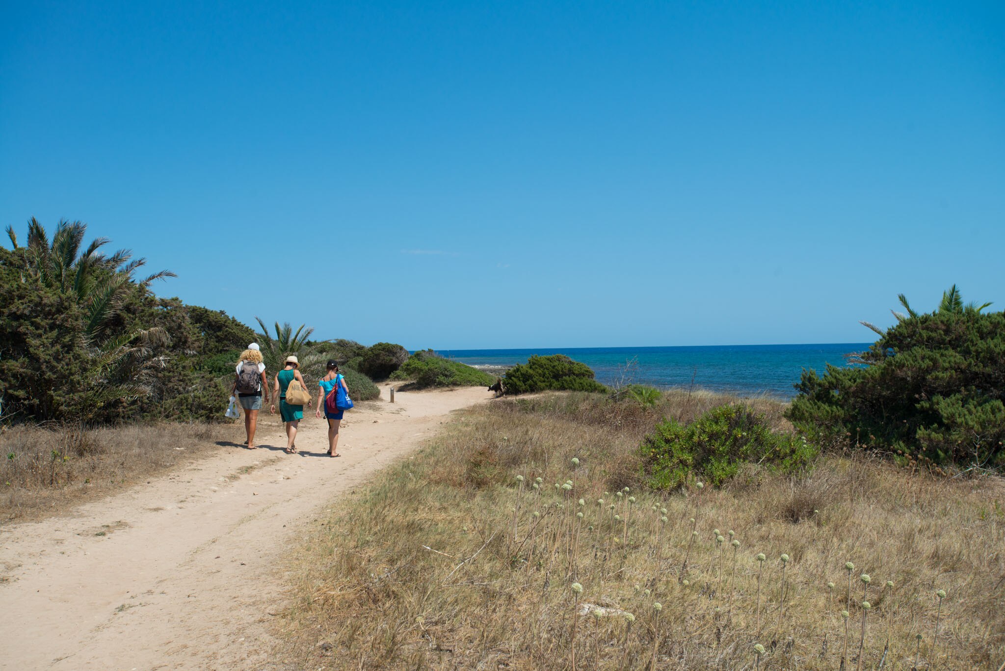 Punta Prima Holidays & Best Deals & Best Deals 2024/2025 | Punta Prima ...