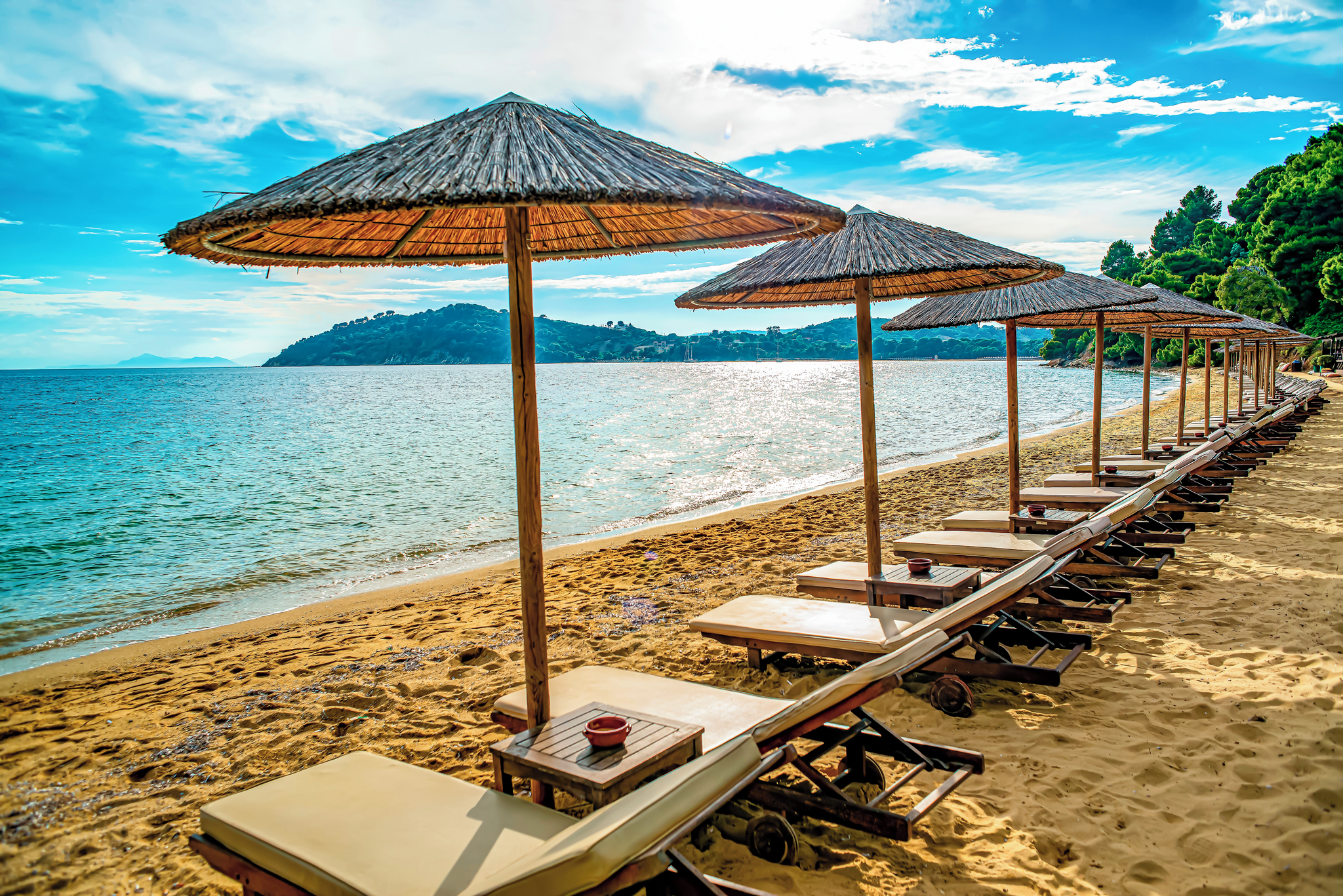 Punta Holidays 2023/2024 | Punta Hotels | Jet2holidays