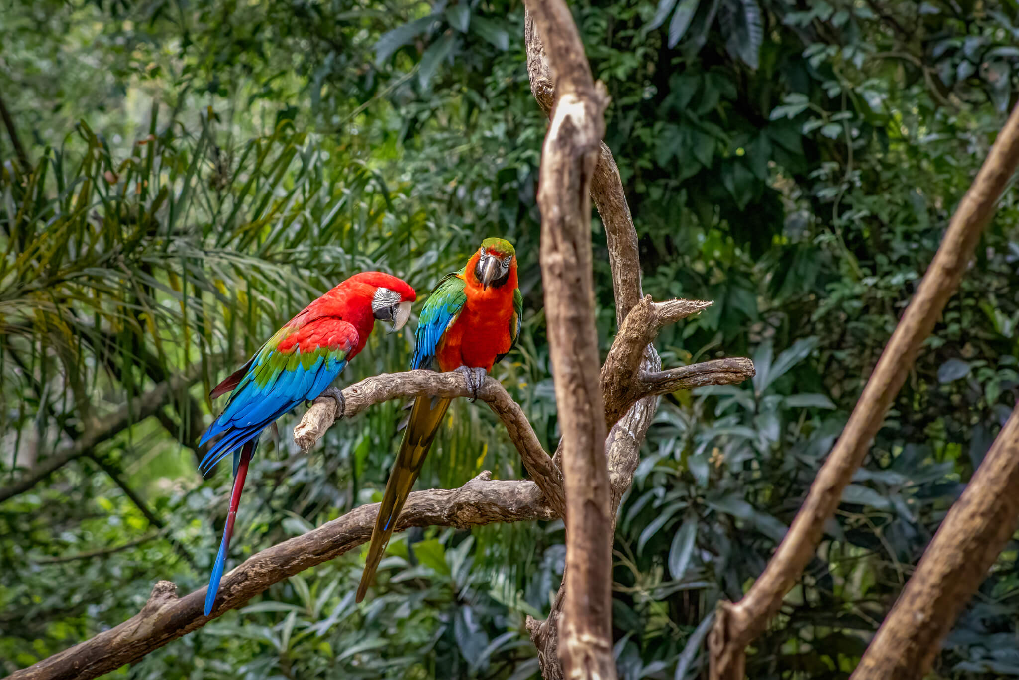 Ben Sassi Saturday market (Marrakech Area) | Jet2holidays