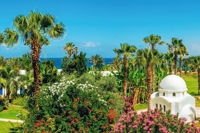 Azia Resort & Spa - Paphos Resort hotels | Jet2holidays