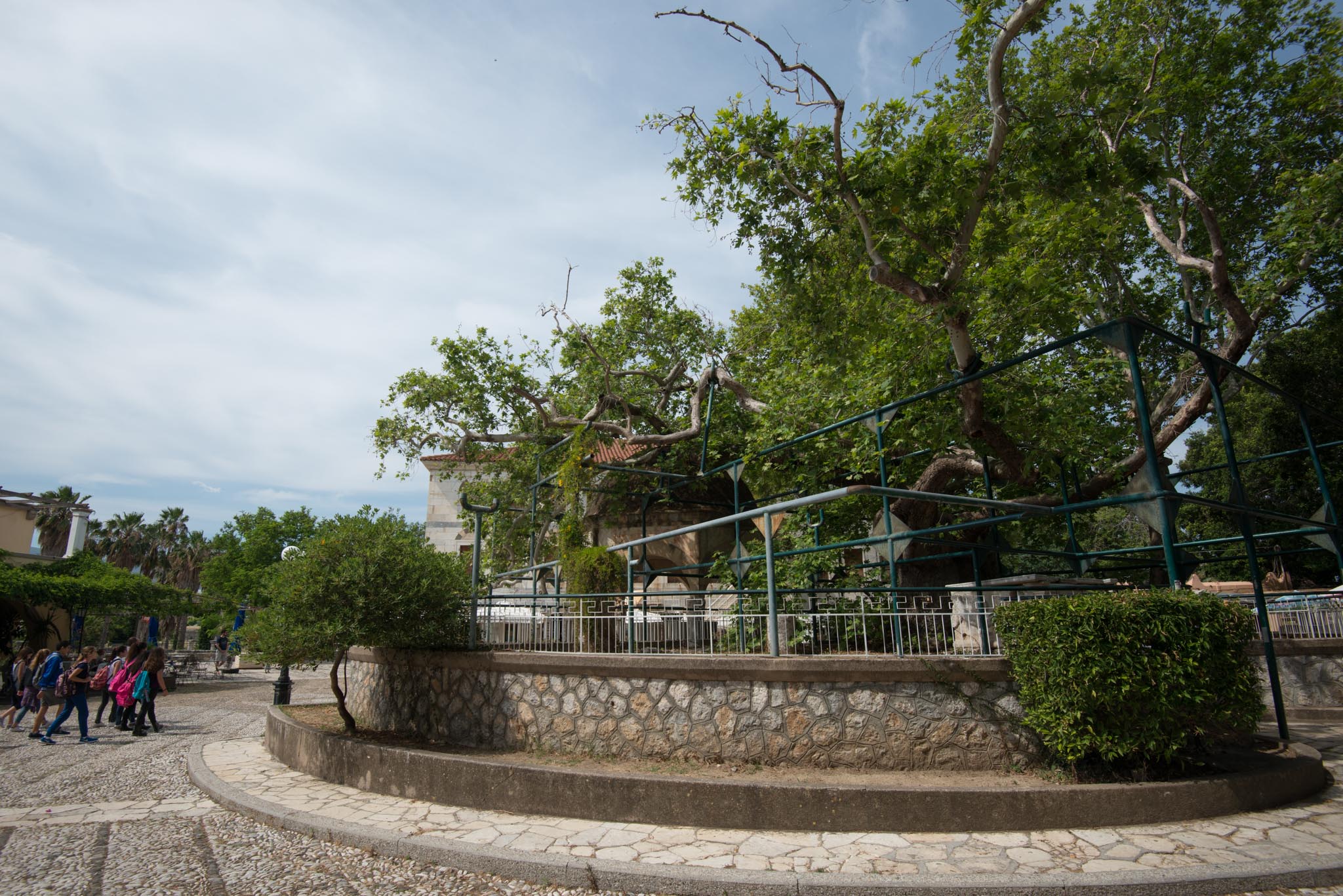 Tree of Hippocrates (Kos)