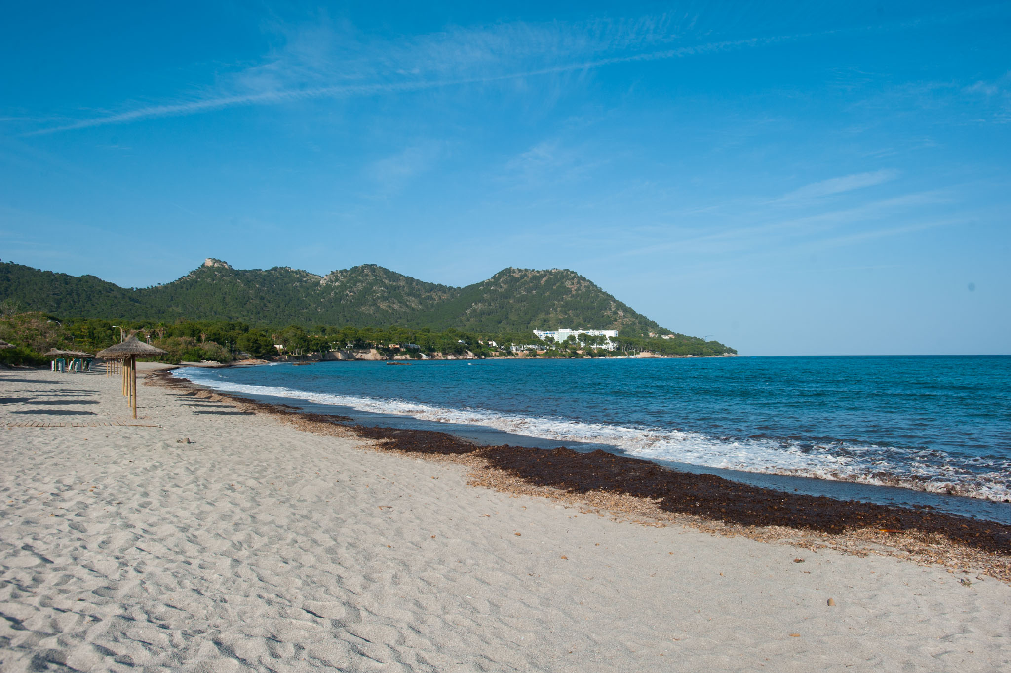 Costa de los Pinos (Majorca)